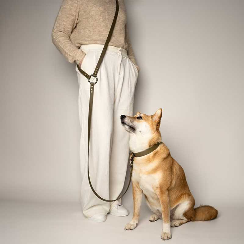 Collection Kitsunē – Kitsune.dog